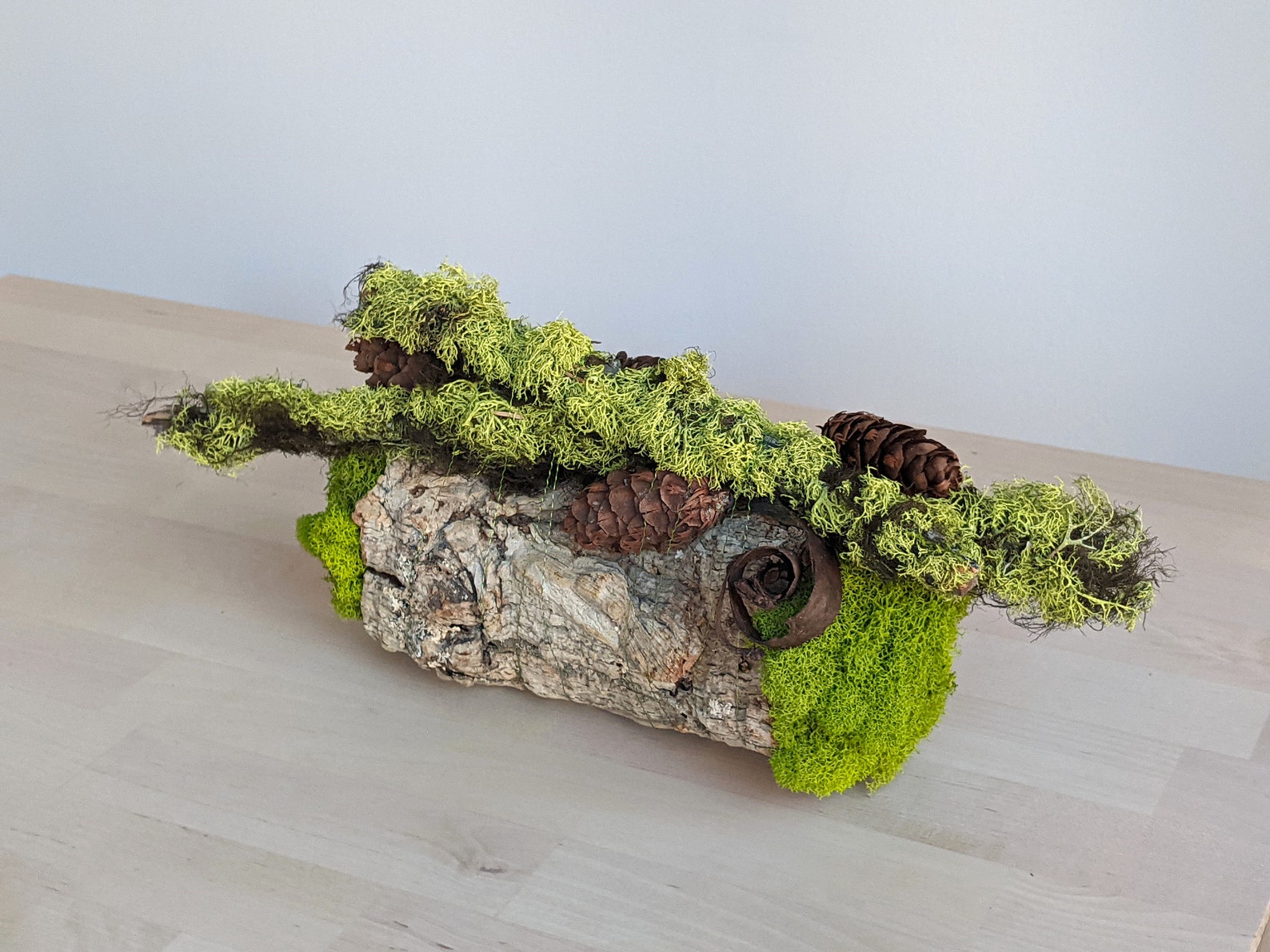 Forest Tree Trunk Coffee Table Decoration Moss Tree Stump Home Decor ...