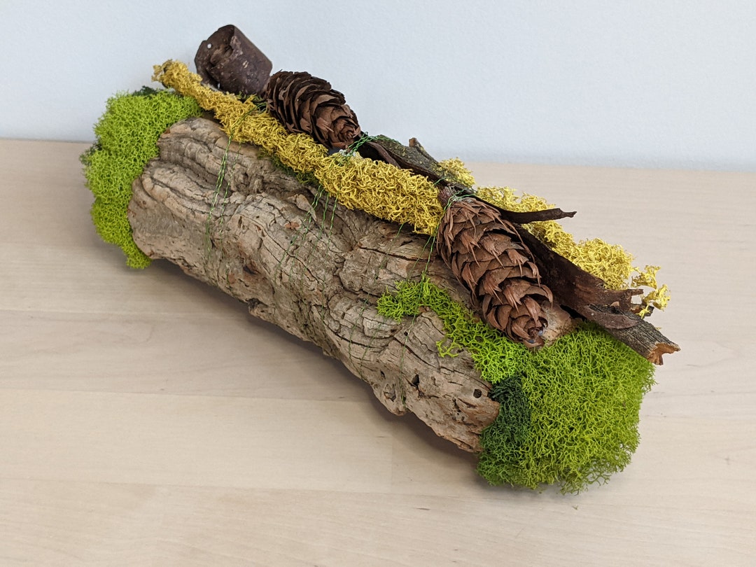 Forest Moss Coffee Table Centerpiece Nature Desk Decoration Office ...