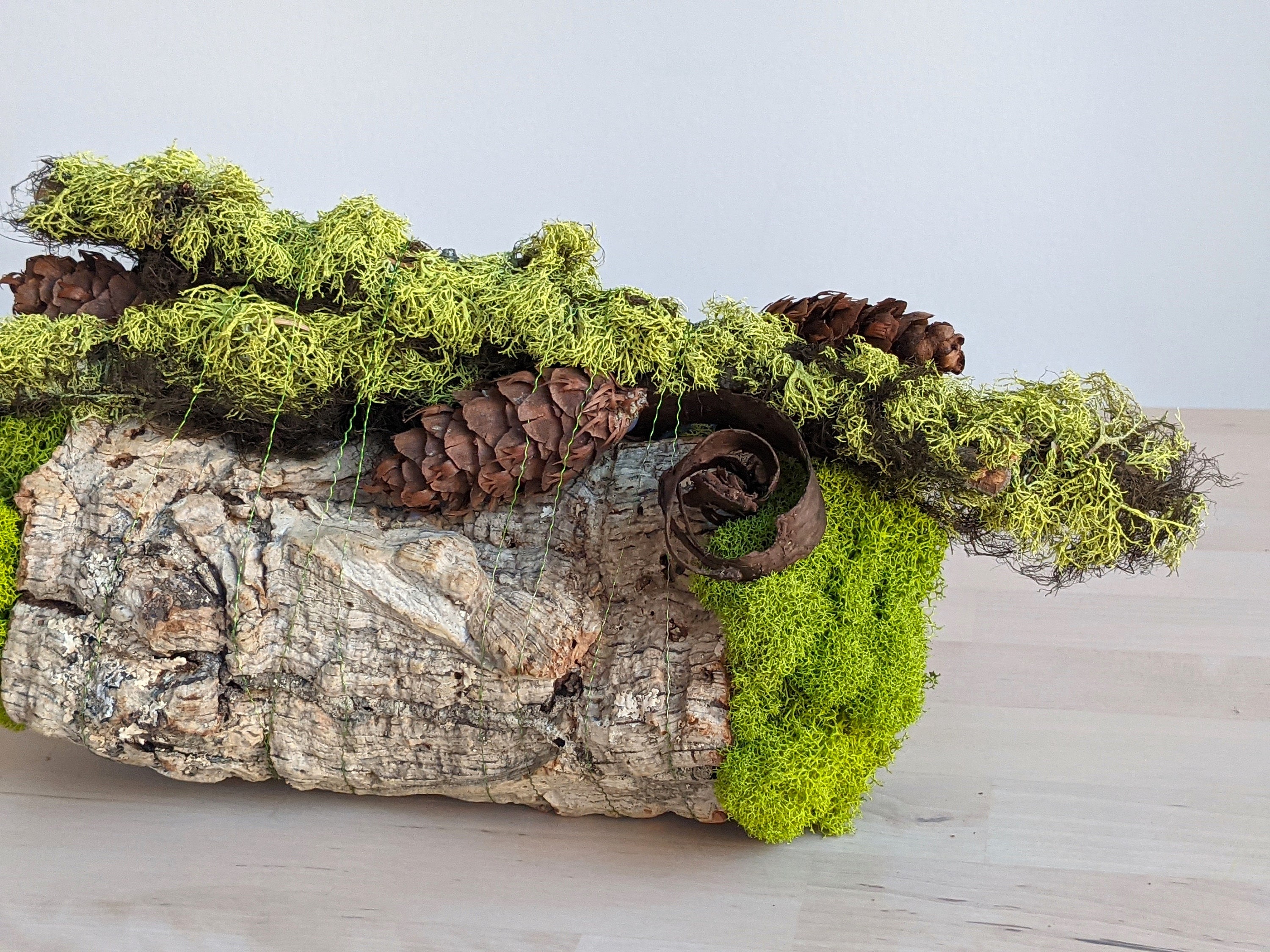 Forest Tree Trunk Coffee Table Decoration Moss Tree Stump Home Decor ...