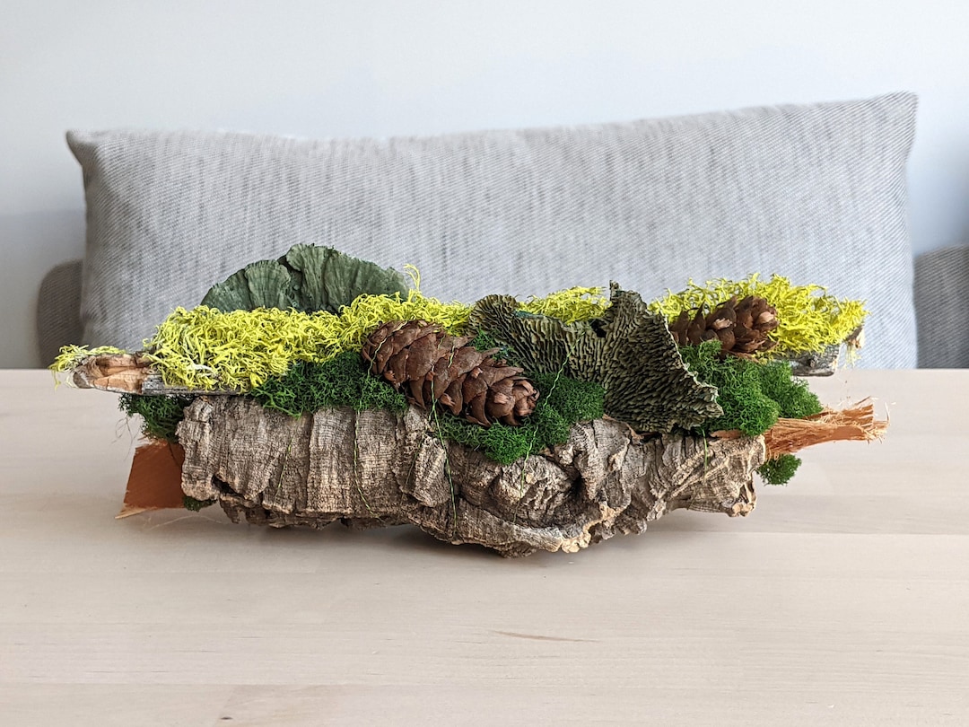 Mossy Fallen Tree Green Moss Home Decoration Coffee Table Centerpiece ...