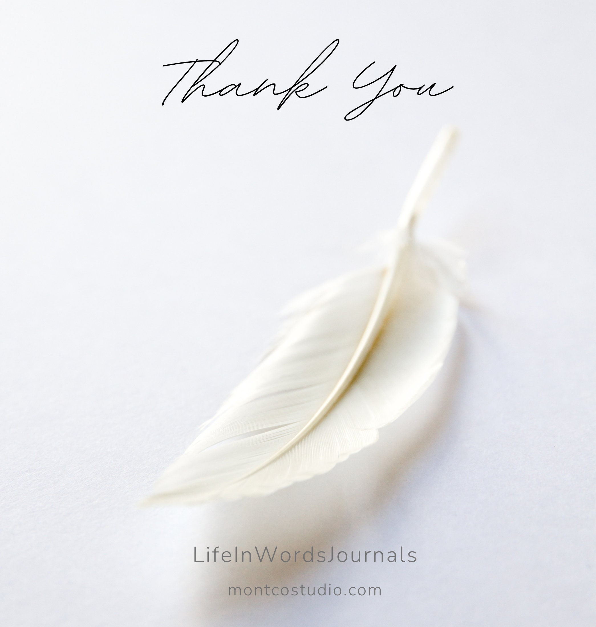 Powerful Words and Phrases for Vision Board | Printable Pdf | Vision ...