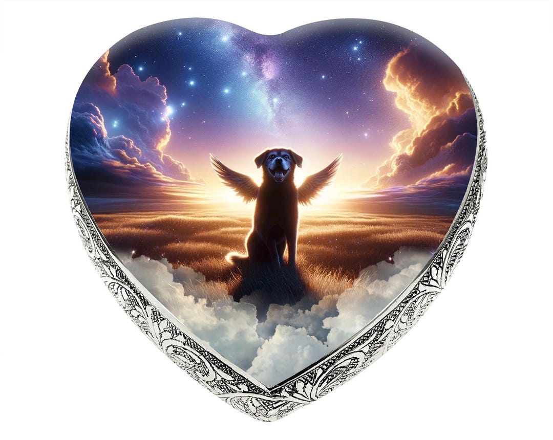 Custom Dog Urn Astral Awe Cremation Urns for Dog Ashes Urns for Pets ...