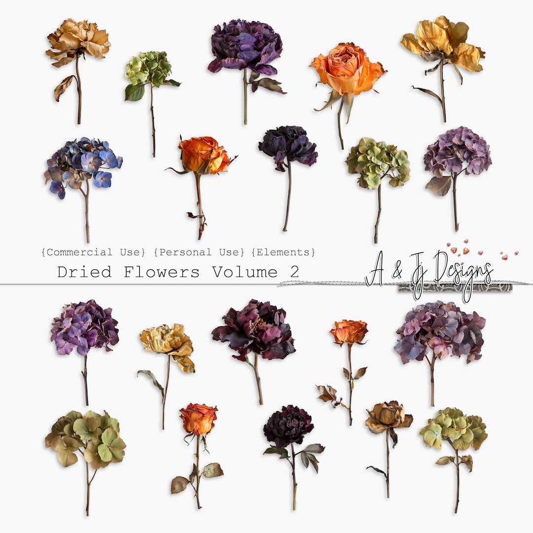 Dried Flowers Volume 2, Vintage Floral Digital Elements for ...