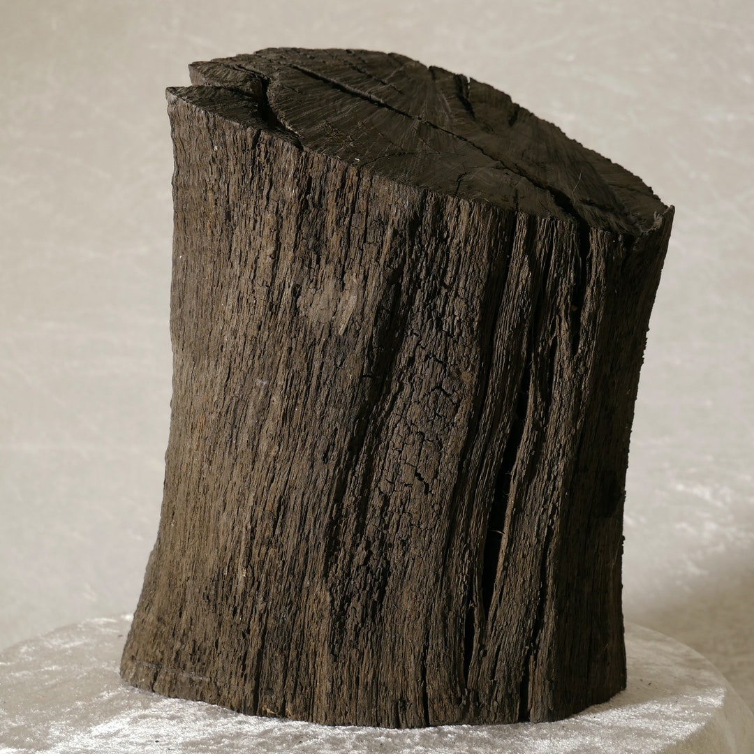 Bog Oak 3000 Years Old 5.6 Kg Heavy Tree Piece - Etsy