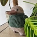Paxton the Platypus Crochet Plushie Doll Animal Pattern - [DIGITAL PDF ...