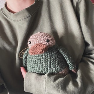 Paxton the Platypus Crochet Plushie Doll Animal Pattern - [DIGITAL PDF ...