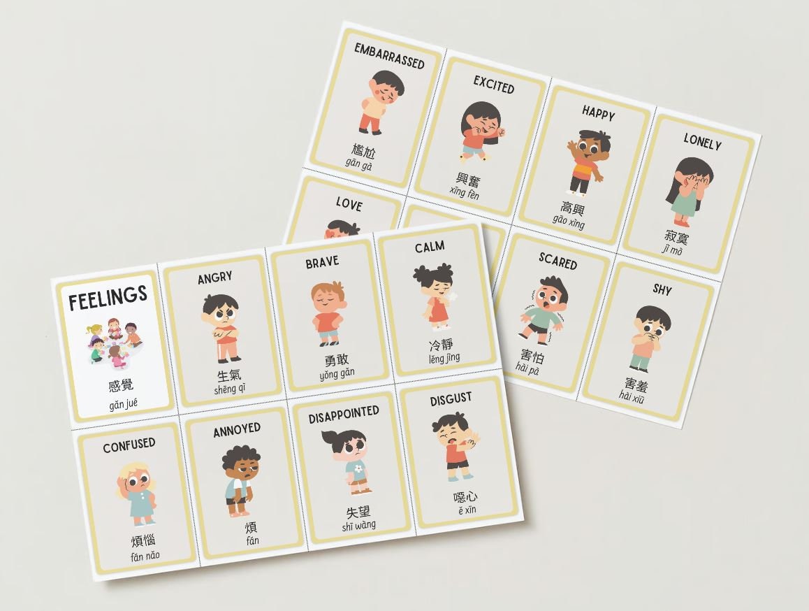 Feeling - English, Traditional Chinese & Pinyin Flash Cards - Etsy
