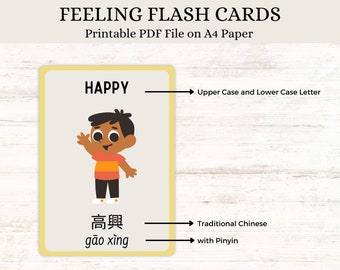 Fruits - English, Traditional Chinese & Pinyin Flash Cards - Etsy