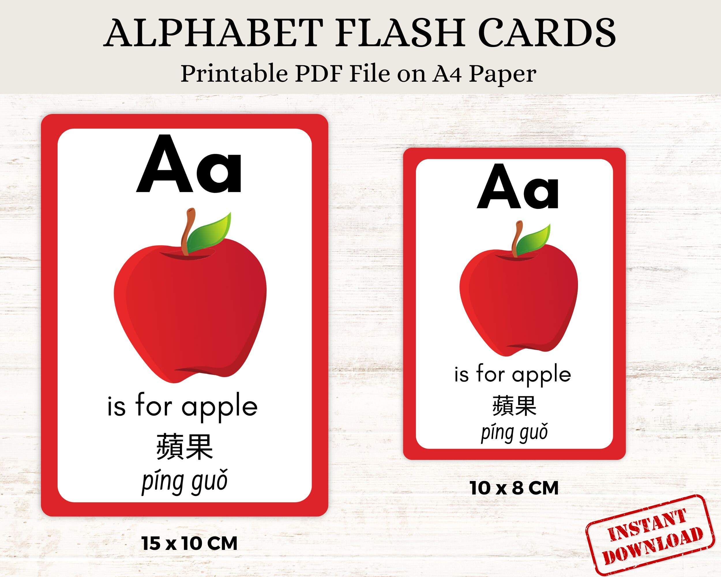 Alphabet With Traditional Chinese Flash Cards - Etsy
