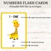 Numbers (0-20) - English, Traditional Chinese & Pinyin Flash Cards - Etsy