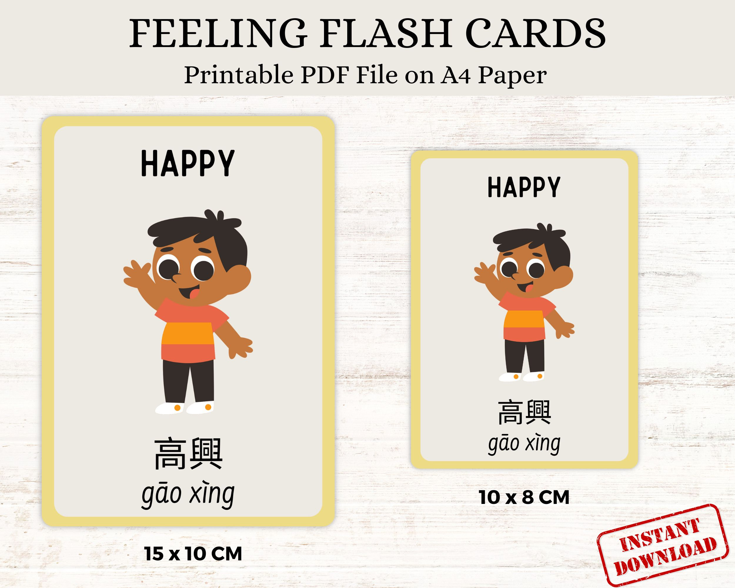 Feeling - English, Traditional Chinese & Pinyin Flash Cards - Etsy