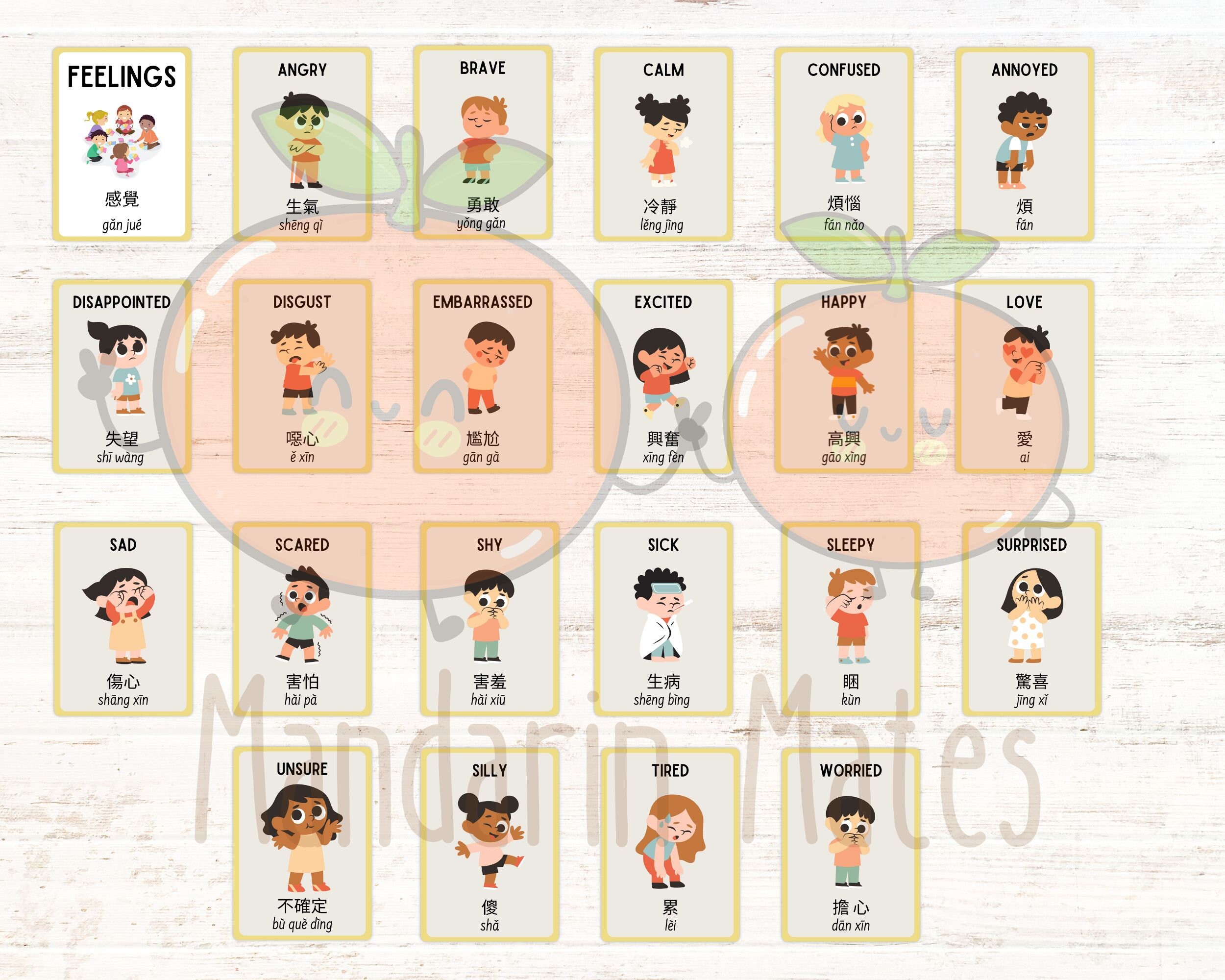 Feeling - English, Traditional Chinese & Pinyin Flash Cards - Etsy