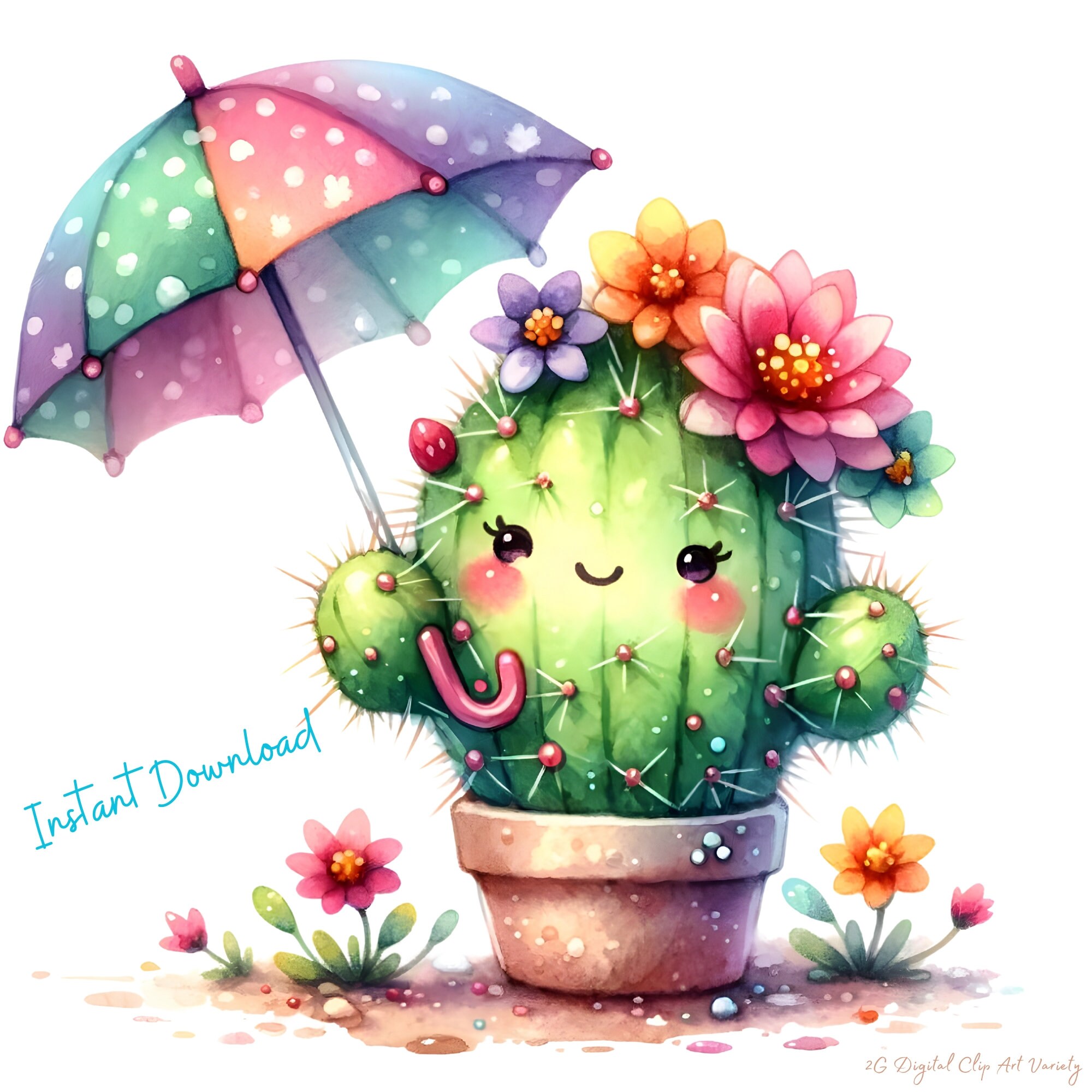 A Set of 5 Cute & Bright Blooming Cactus Clip Art PNG, Digital Download ...