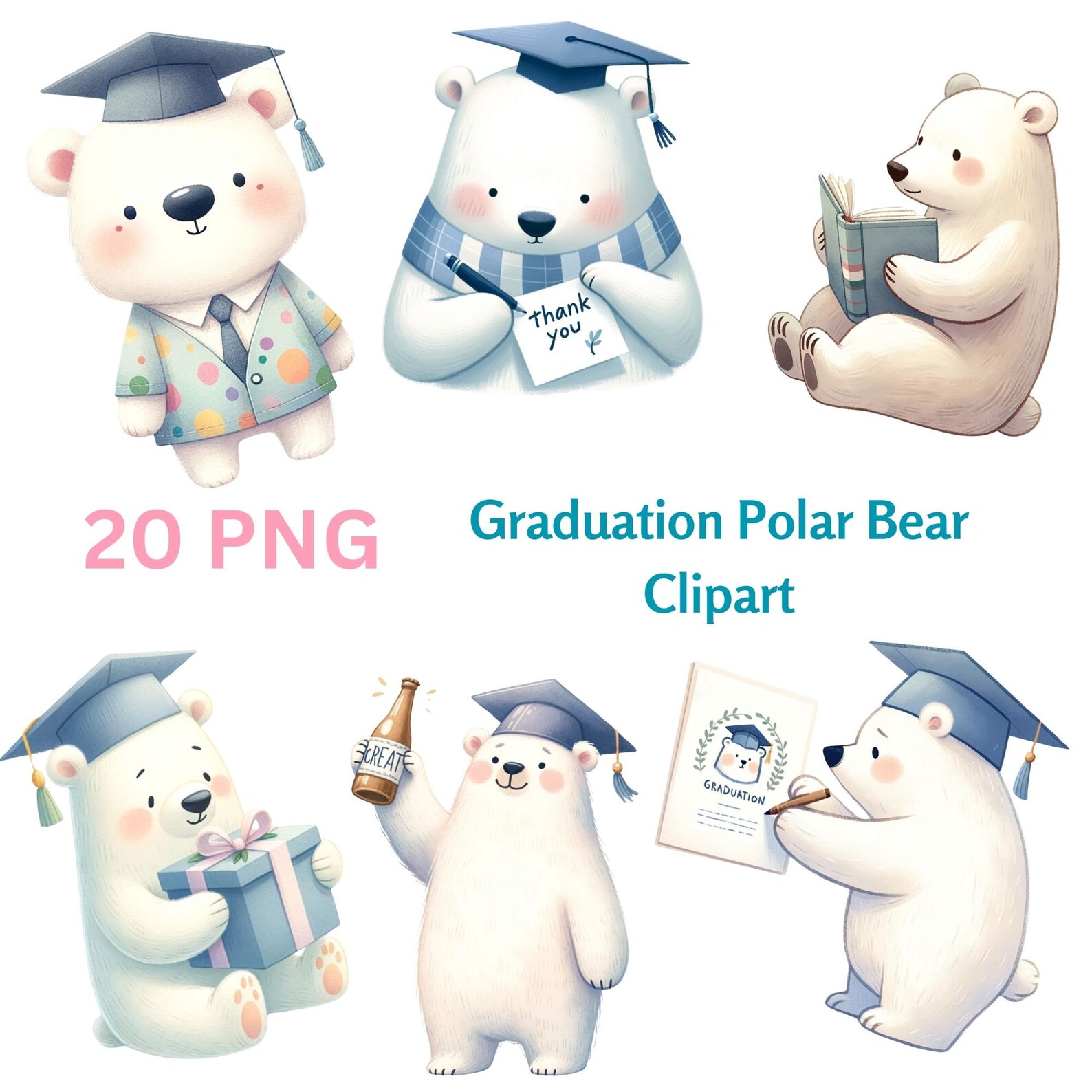 Graduation Polar Bear Clipart, 20 PNG Watercolor Cute Bear ...