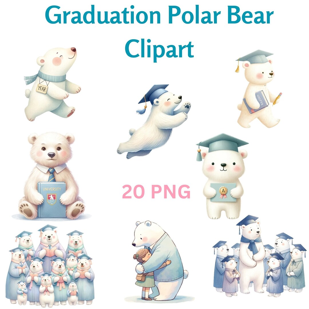 Graduation Polar Bear Clipart, 20 PNG Watercolor Cute Bear ...
