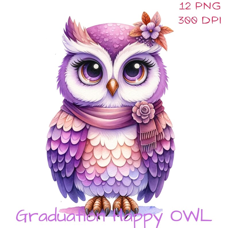 Graduation Owl Clipart, Watercolor Illustration 12 PNG, Congratulation ...