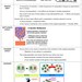 Band 6 HSC Biology Notes Module 6 Genetic Change - Etsy