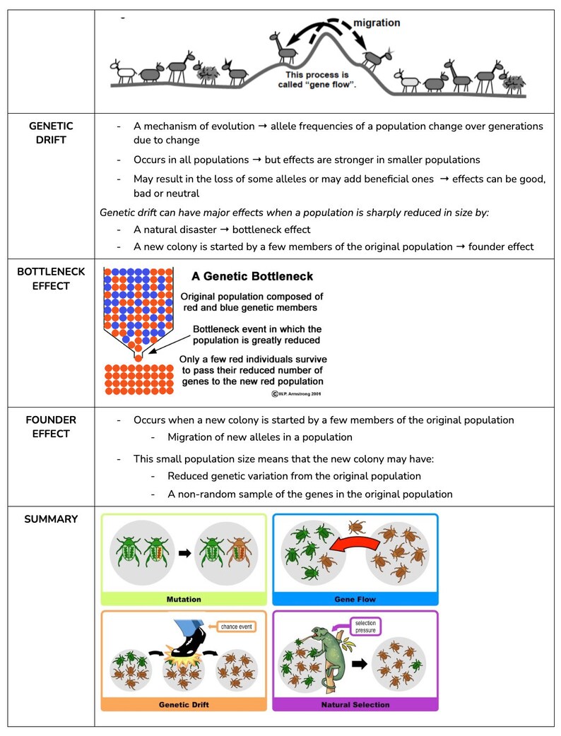Band 6 HSC Biology Notes Module 6 Genetic Change - Etsy