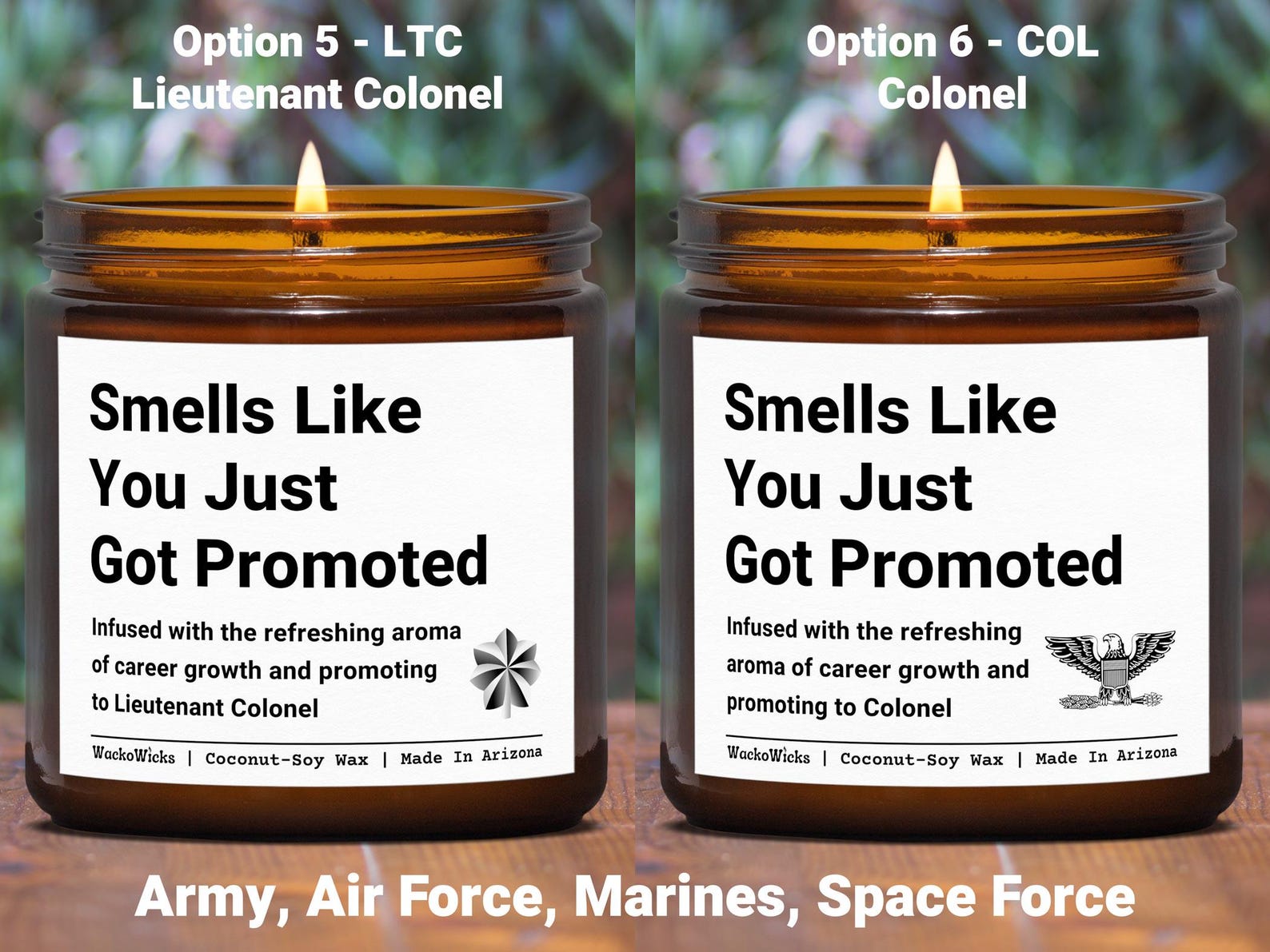 Military Officer Promotion Gift, Army Officer Promotion Gift, Air Force ...