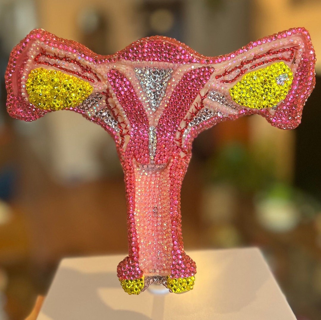 BEDAZZLED UTERUS, Feminist, Galentines Day, Nursing Student, Obgyn ...