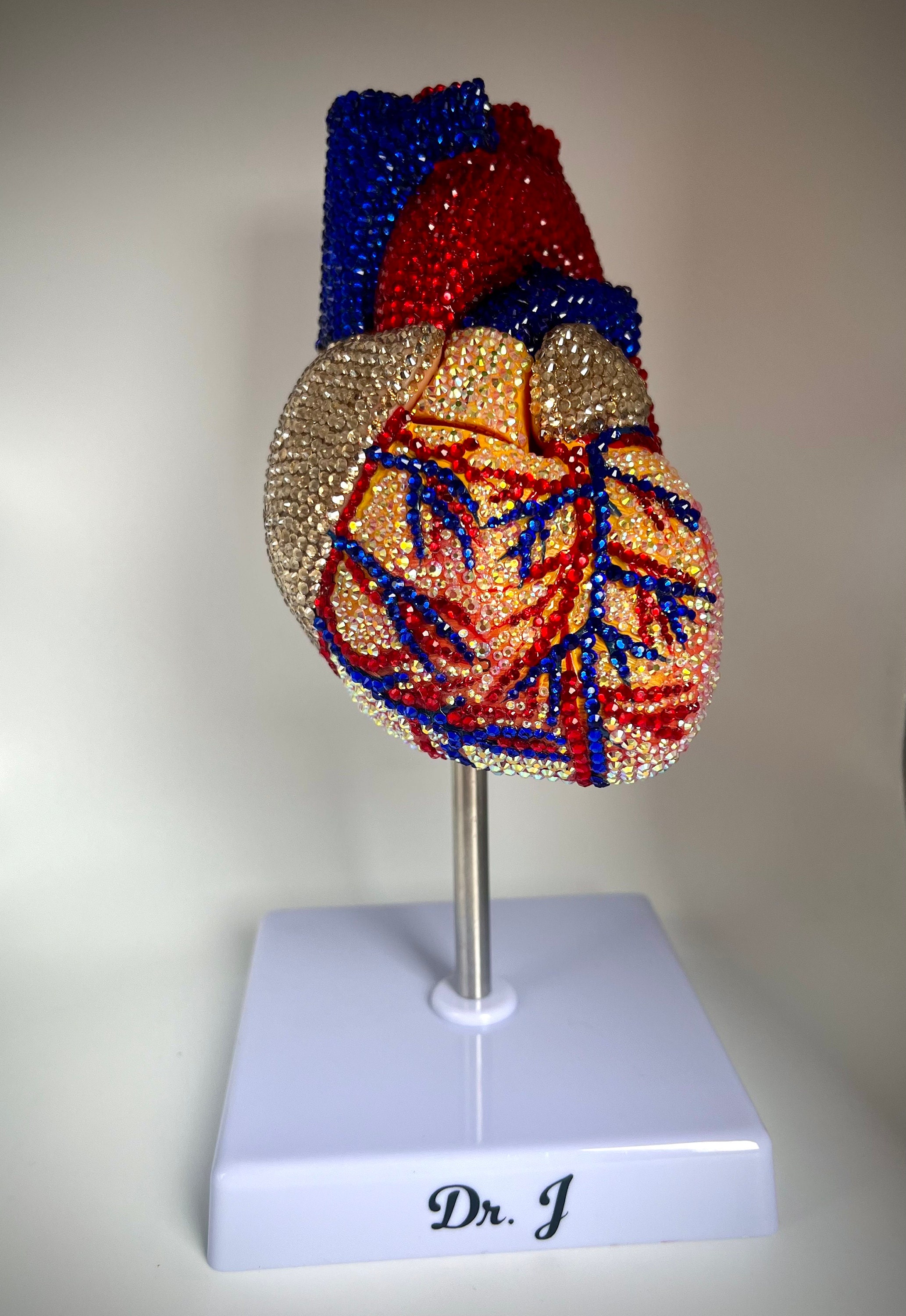 BEDAZZLED HEART, Cardiac Model, Nursing Student, Med Student, NP ...