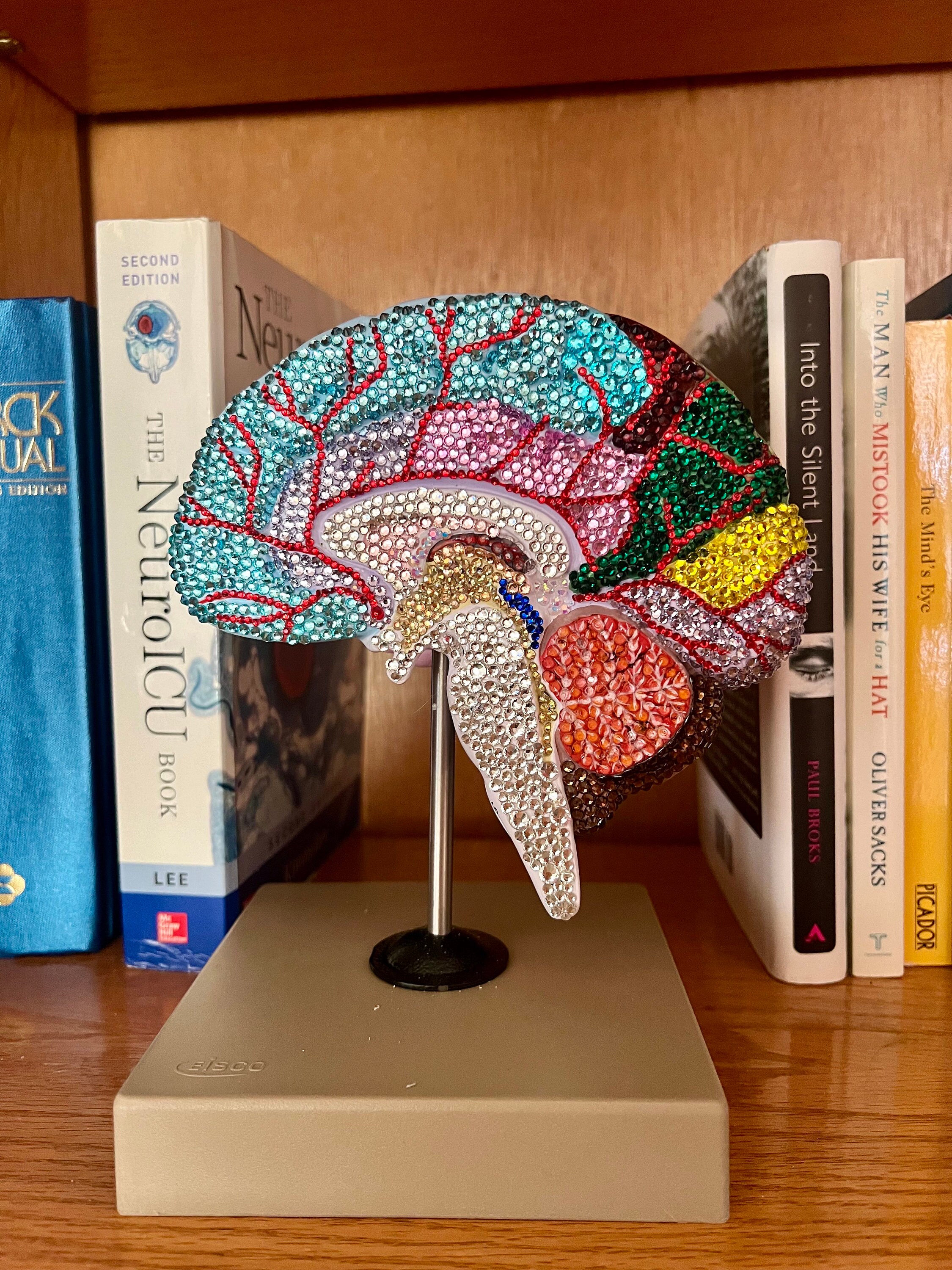 BEDAZZLED BRAIN MODEL, Gift for Therapist, Psyd, Psychologist ...