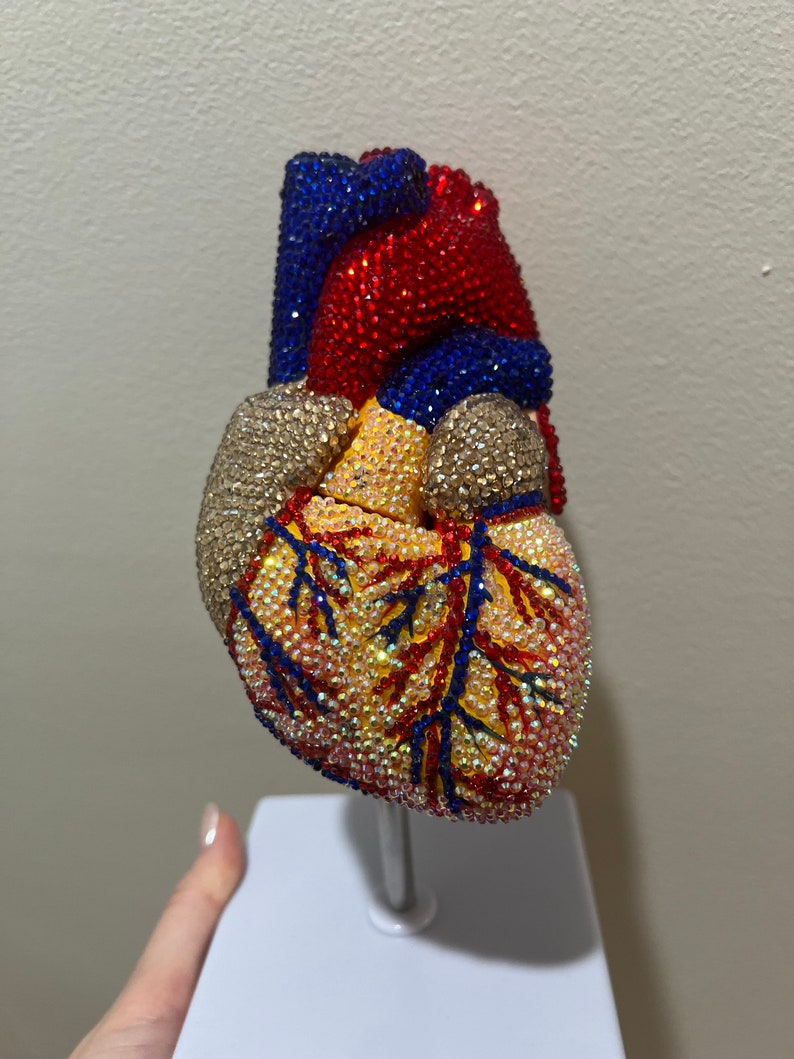 BEDAZZLED HEART, Cardiac Model, Nursing Student, Med Student, NP ...