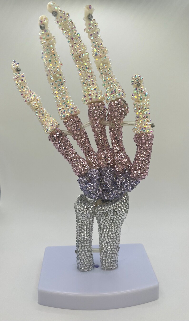 BEDAZZLED SKELETON HAND, Anatomy Model, Bones, Physical Therapist ...