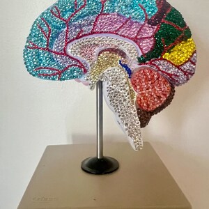 BEDAZZLED BRAIN MODEL, Gift for Therapist, Psyd, Psychologist ...