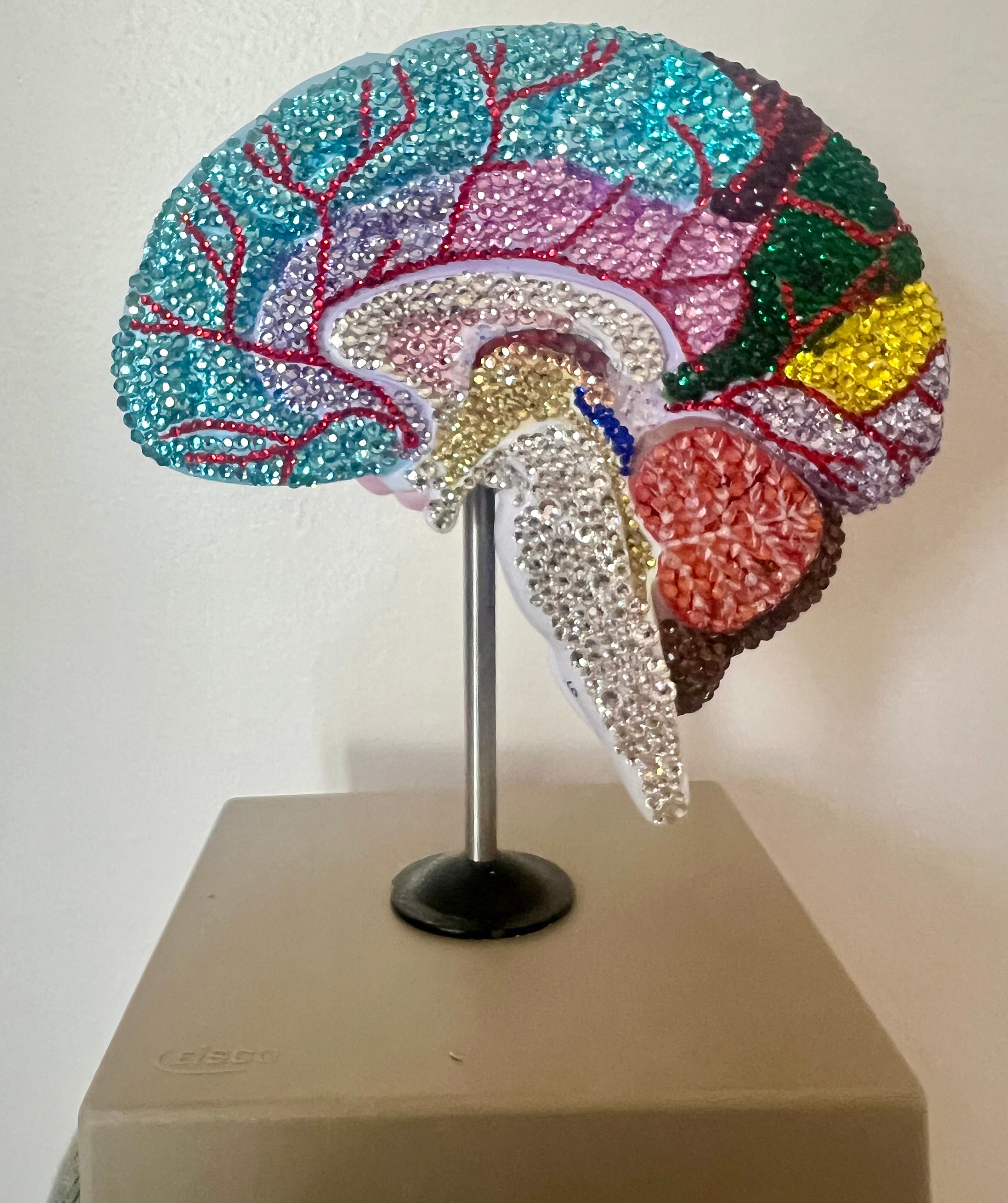BEDAZZLED BRAIN MODEL, Gift for Therapist, Psyd, Psychologist ...