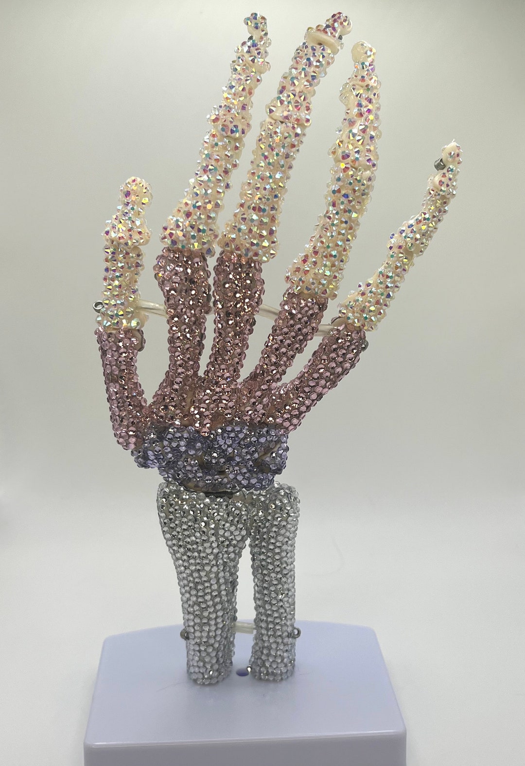 BEDAZZLED SKELETON HAND, Anatomy Model, Bones, Physical Therapist ...