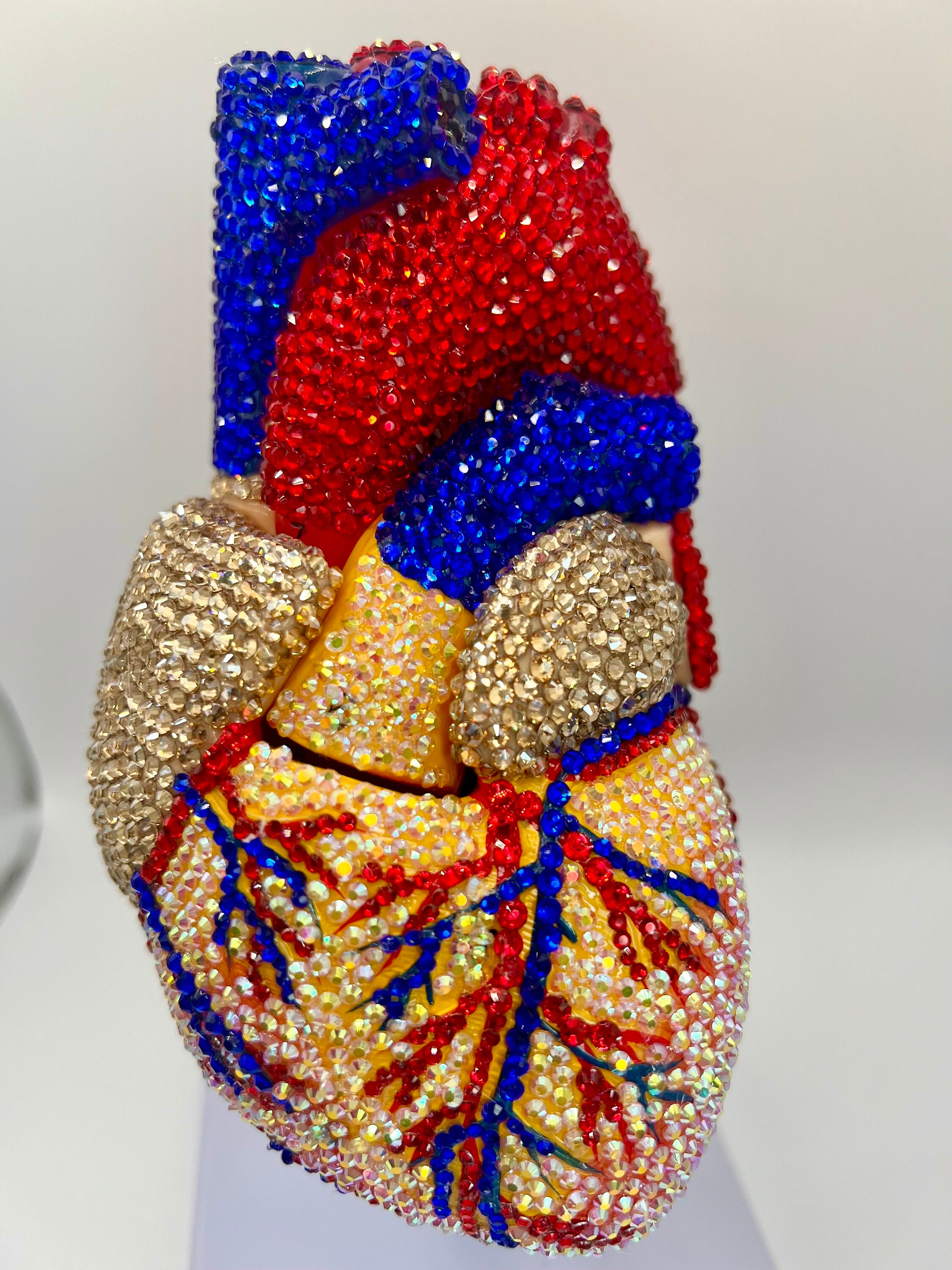 BEDAZZLED HEART, Cardiac Model, Nursing Student, Med Student, NP ...