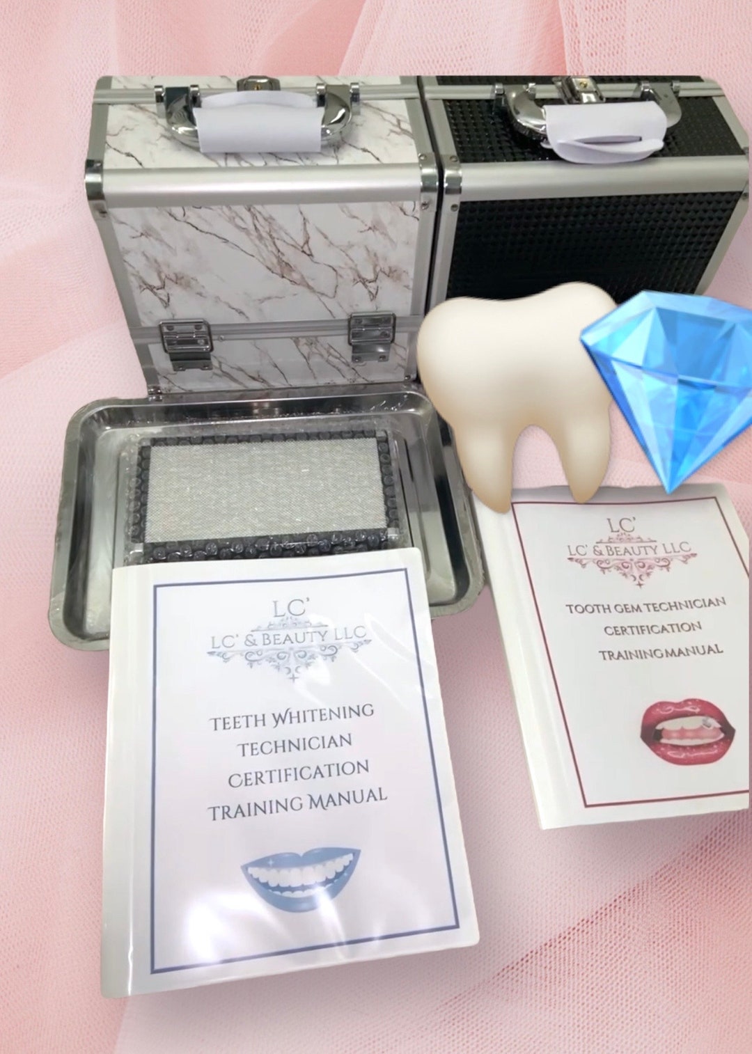 Professional Dual Tooth Gem Kit & Teeth Whitening Kit 450 Tooth Gems ...