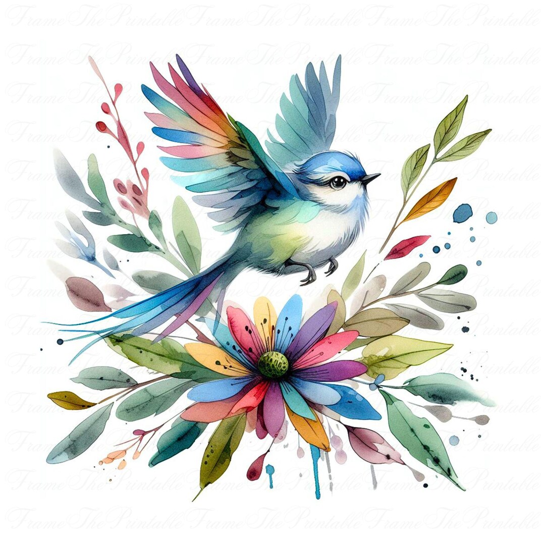 Bird Clipart PNG Bundle, Magic Nature Art, Cute Colourful Birds on ...
