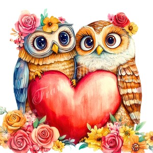 13 Quirky Valentine Owls Clip Art Watercolour High Res JPG Bulk Junk ...