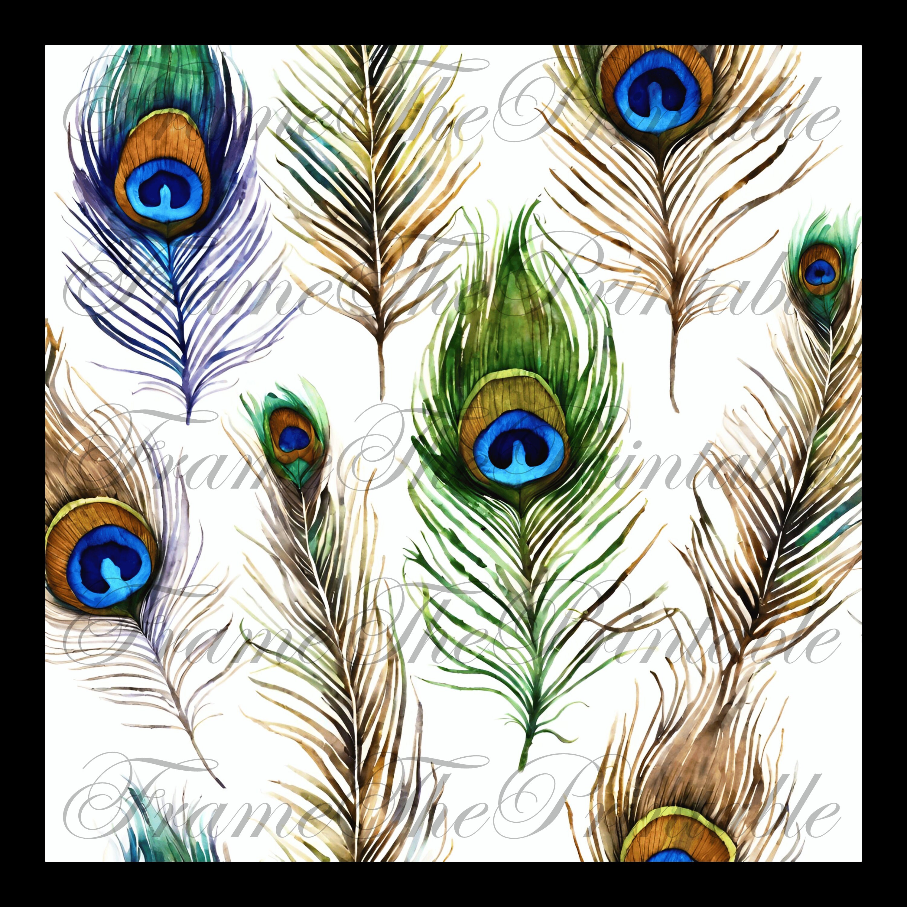 Peacock Feather Clipart 10 Pictures PNG SVG JPG Printable Tumbler ...