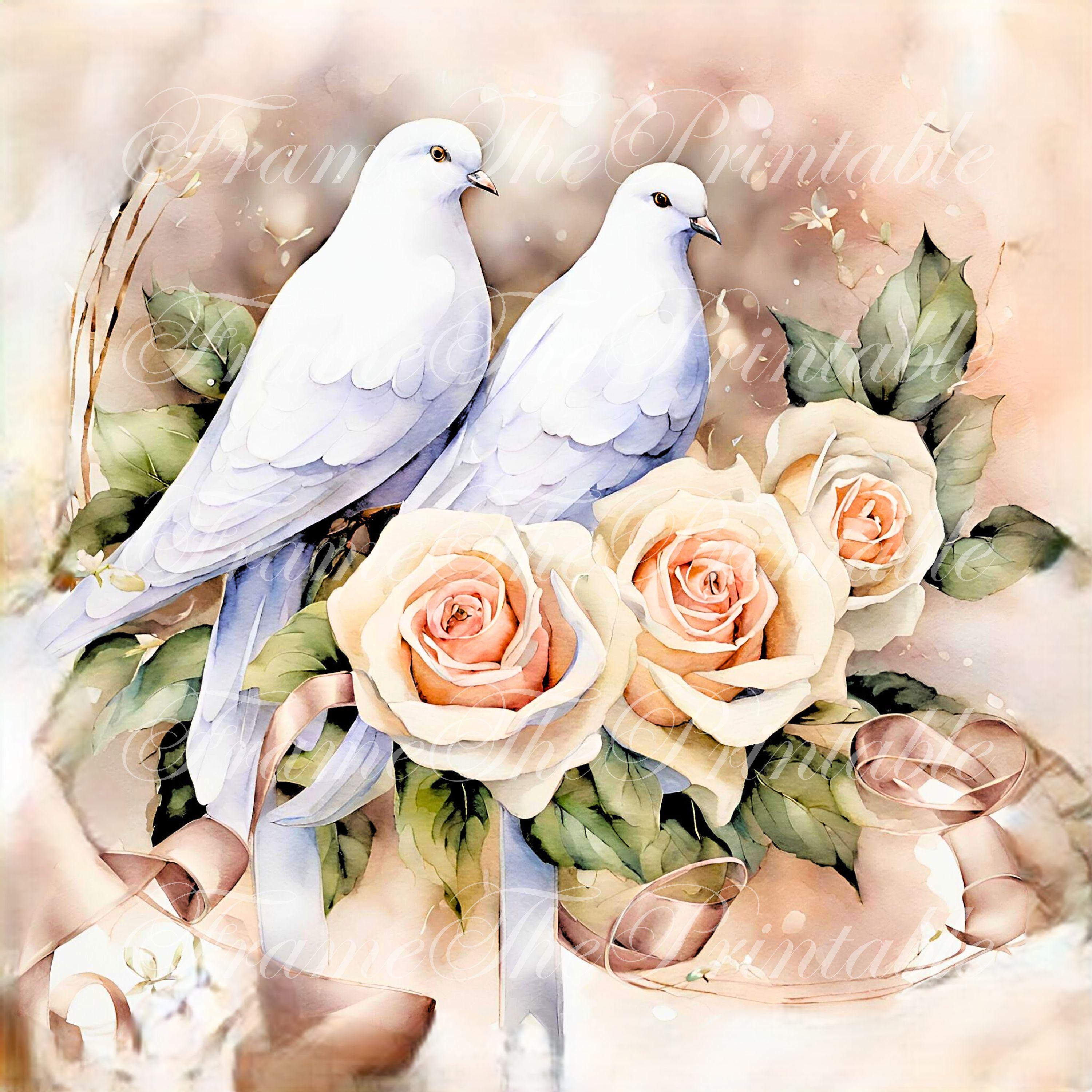 Wedding Dove Clipart Bundle PNG, 13 White Doves With Roses, Romantic ...