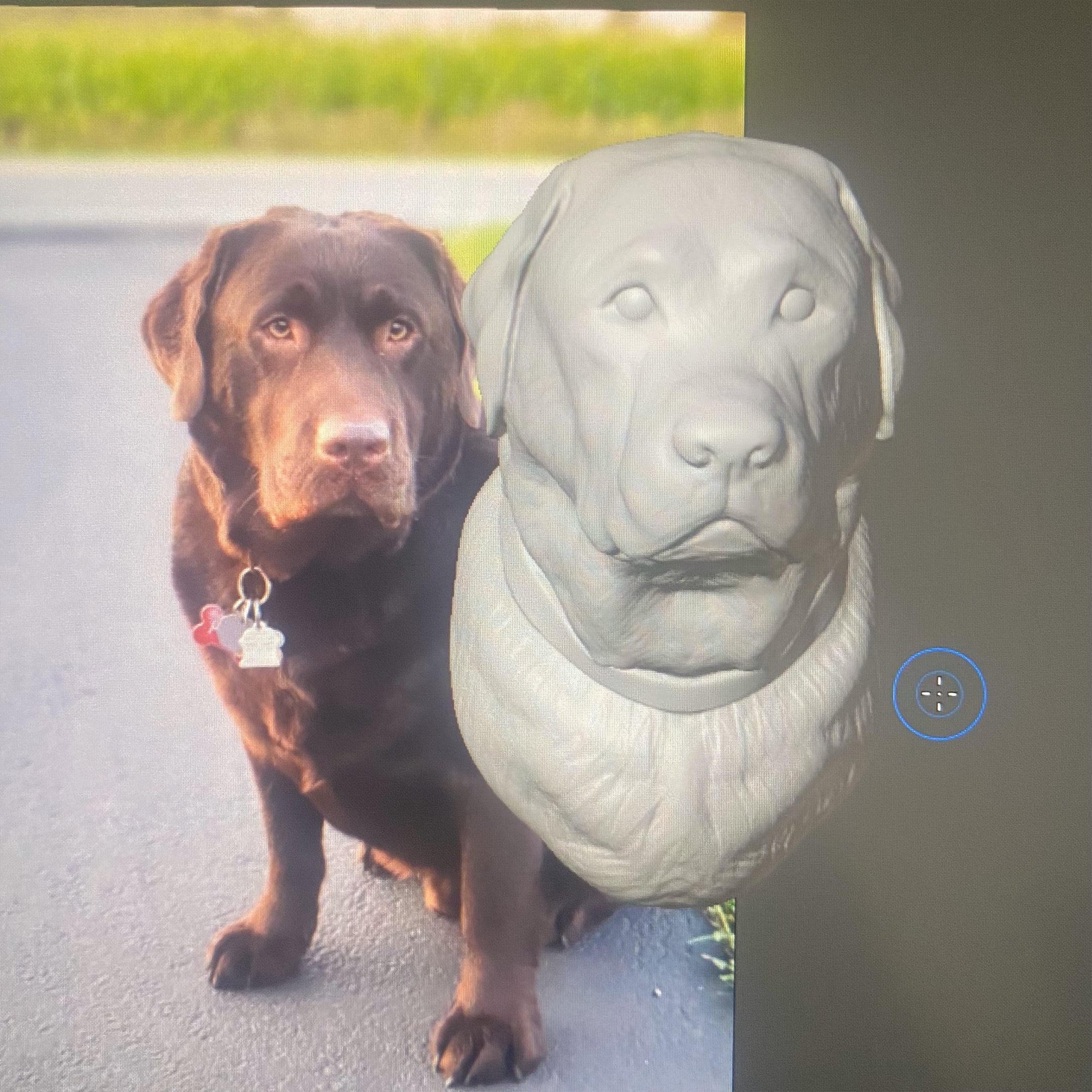 3D Printed Pet Portrait, Hand Painted, Face Sculpt - Etsy