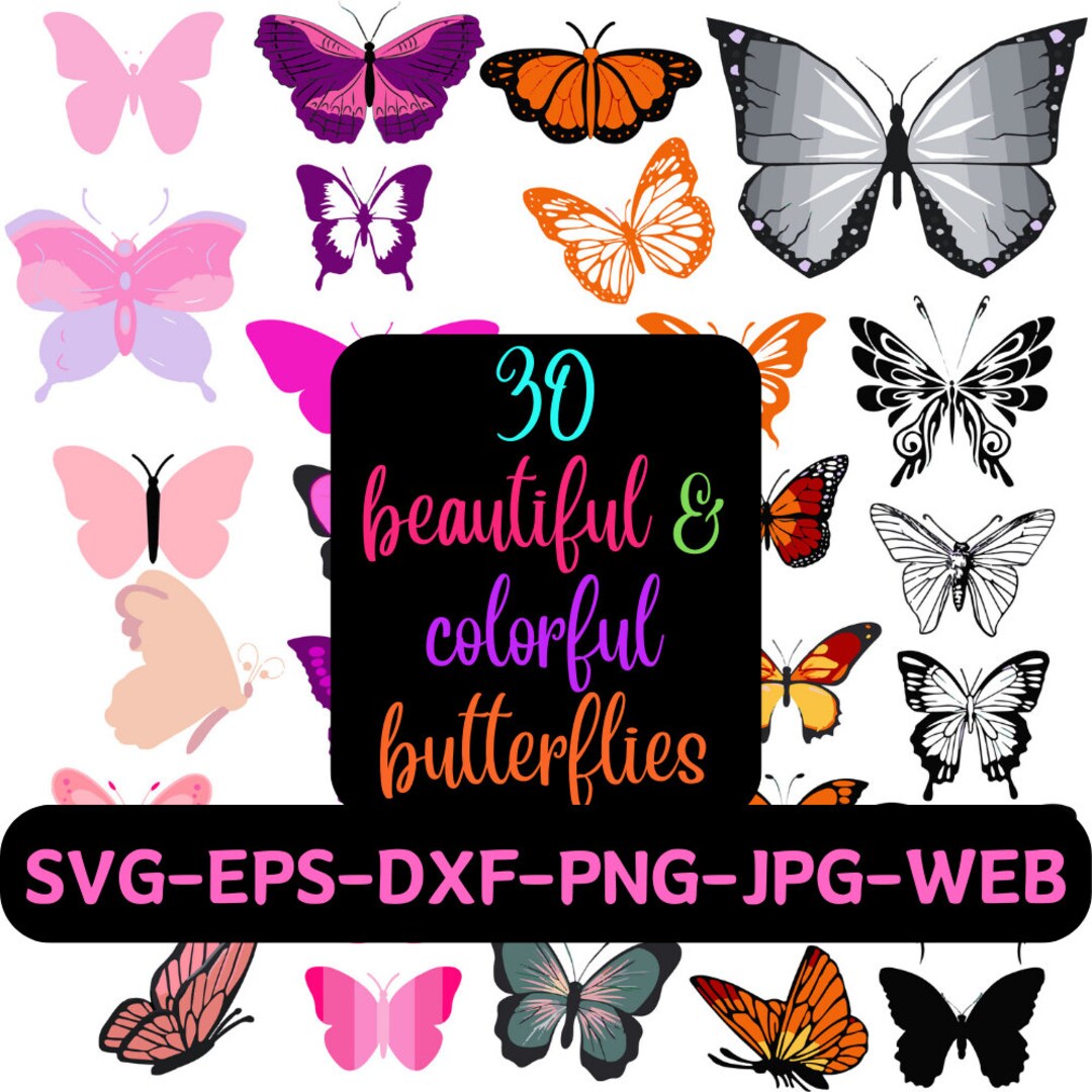 Butterfly Svg Bundle\butterfly Bundle Svg\cute Butterfly Svg\colourful ...