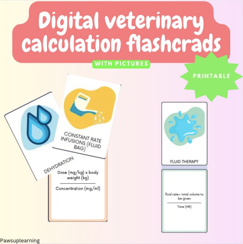 Digital Veterinary Calculation Flashcards - Etsy