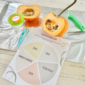 Pumpkin Unit Study | Fall Seasonal | Homeschool Autumn Printable ...