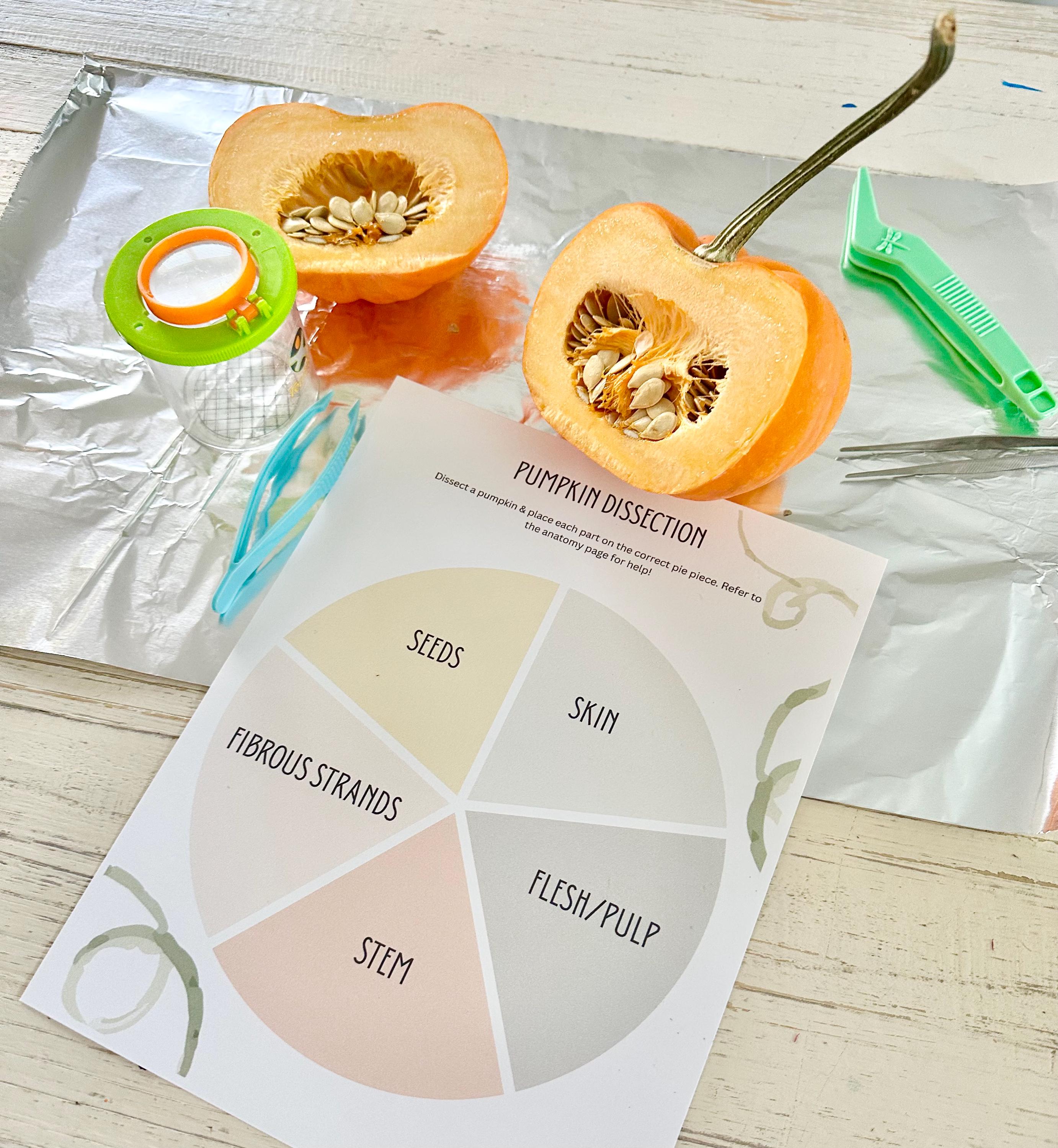 Pumpkin Unit Study | Fall Seasonal | Homeschool Autumn Printable ...