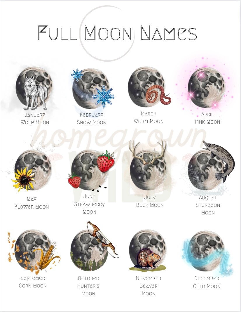 Full Moon Names Poster Homeschool Nature Study Home Learning Worksheet ...