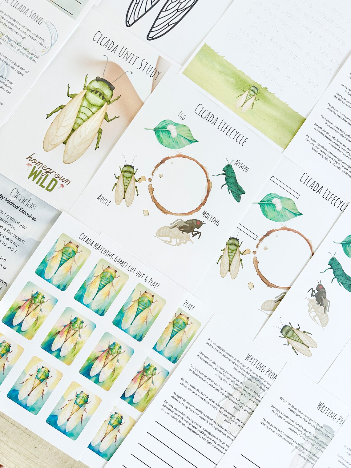 Cicada Unit Study | Homeschool | Insect | Digital Worksheets | Nature ...