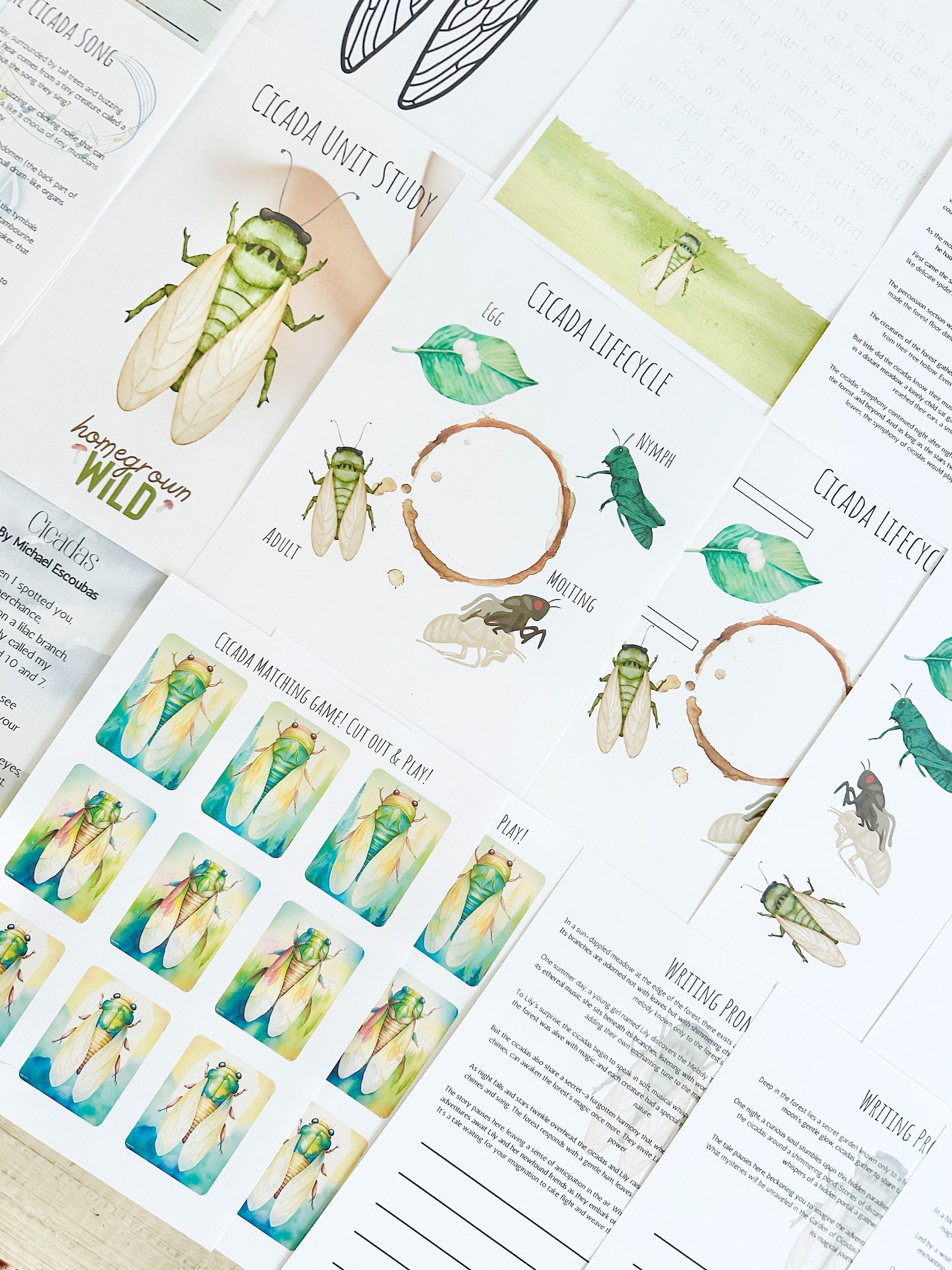 Cicada Unit Study | Homeschool | Insect | Digital Worksheets | Nature ...