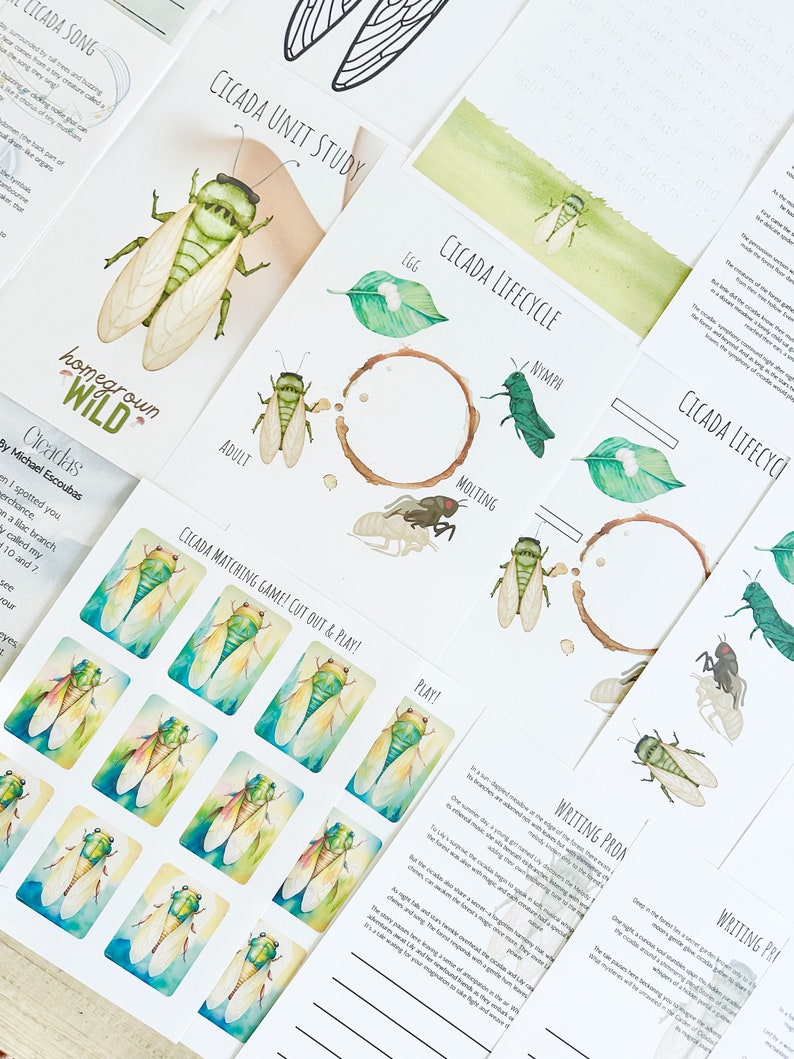 Cicada Unit Study | Homeschool | Insect | Digital Worksheets | Nature ...