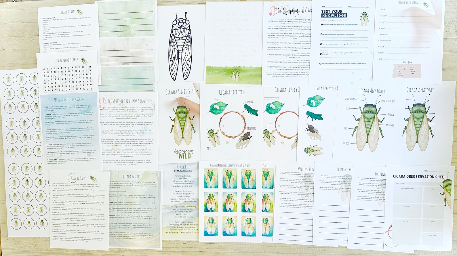 Cicada Unit Study | Homeschool | Insect | Digital Worksheets | Nature ...