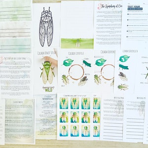 Cicada Unit Study | Homeschool | Insect | Digital Worksheets | Nature ...