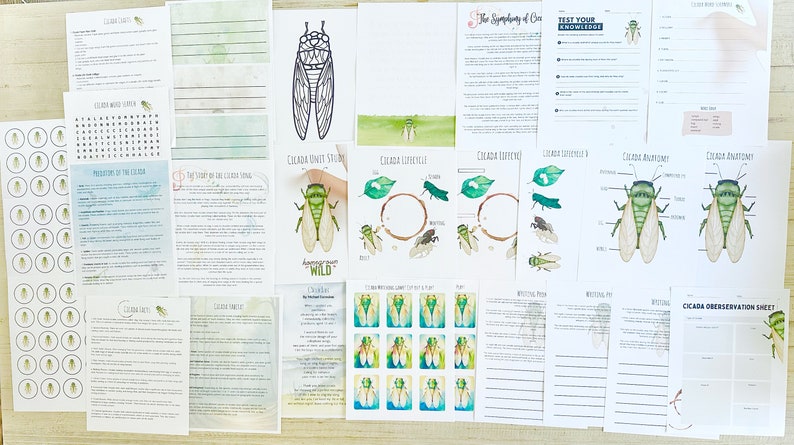 Cicada Unit Study | Homeschool | Insect | Digital Worksheets | Nature ...