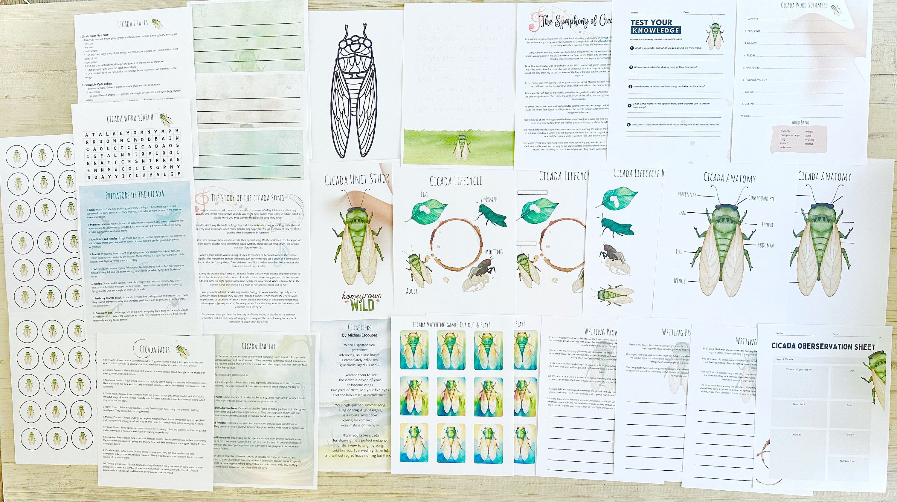 Cicada Unit Study | Homeschool | Insect | Digital Worksheets | Nature ...